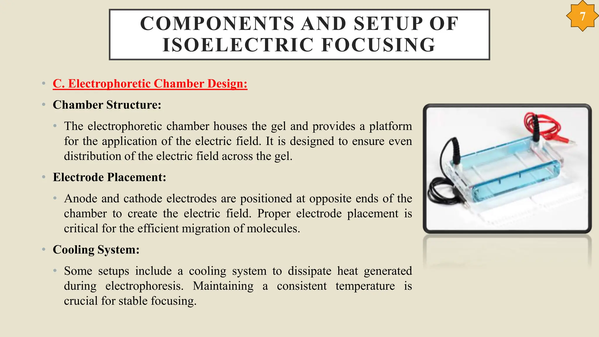 Isoelectric Focus: Decoding Charged Particle Precision.pptx
