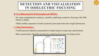 Isoelectric Focus: Decoding Charged Particle Precision.pptx