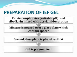isoelectric focusing and Isotachophoresis.pptx