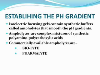 isoelectric focusing and Isotachophoresis.pptx