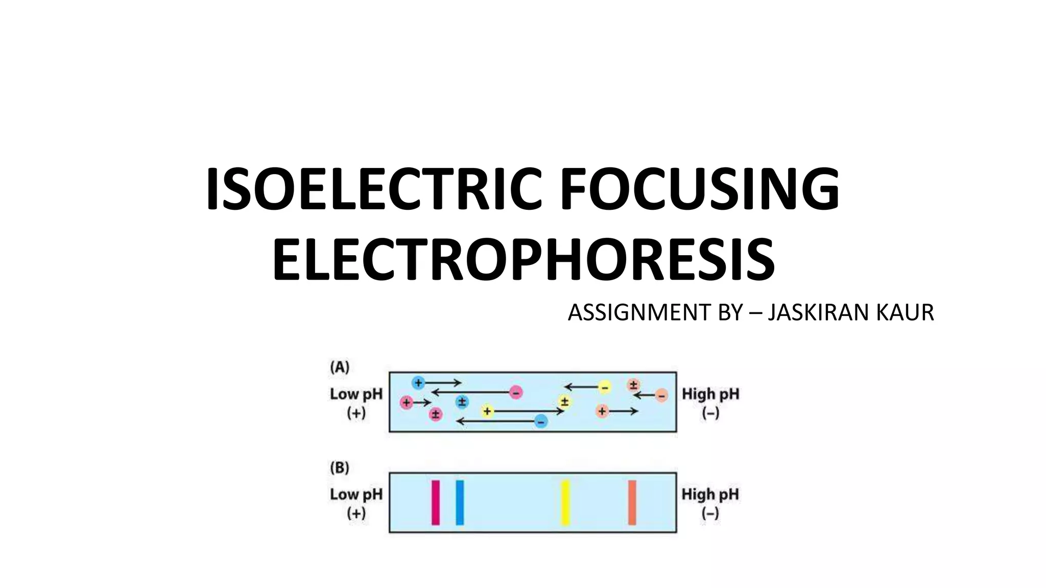 Isoelectric focusing electrophoresis- Principle , procedure and applications | PPTX