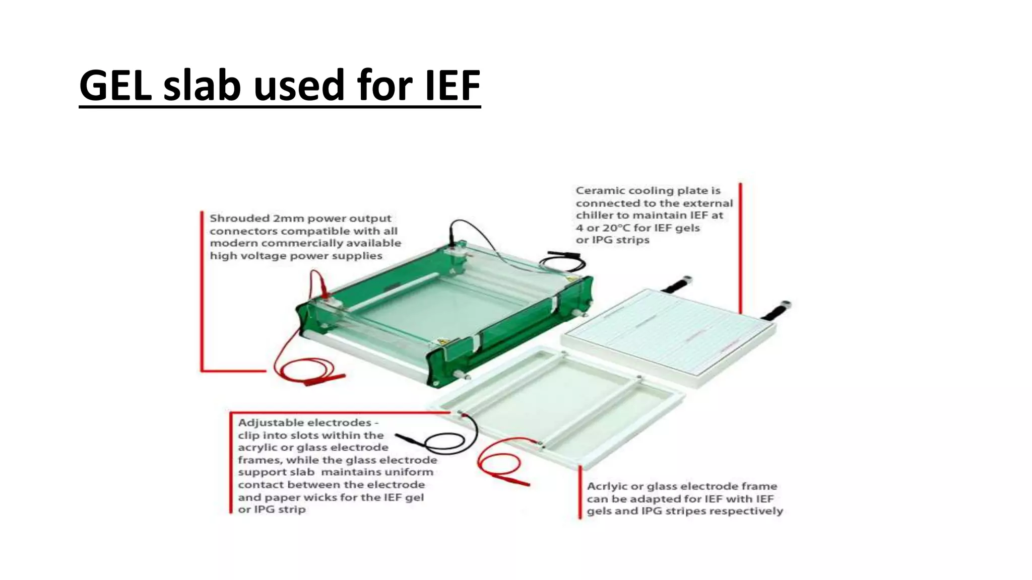 Isoelectric focusing electrophoresis- Principle , procedure and ...