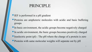 Isoelectric focusing electrophoresis.pptx