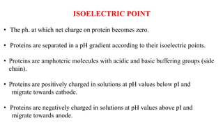 Isoelectric focusing ppt. | PPTX