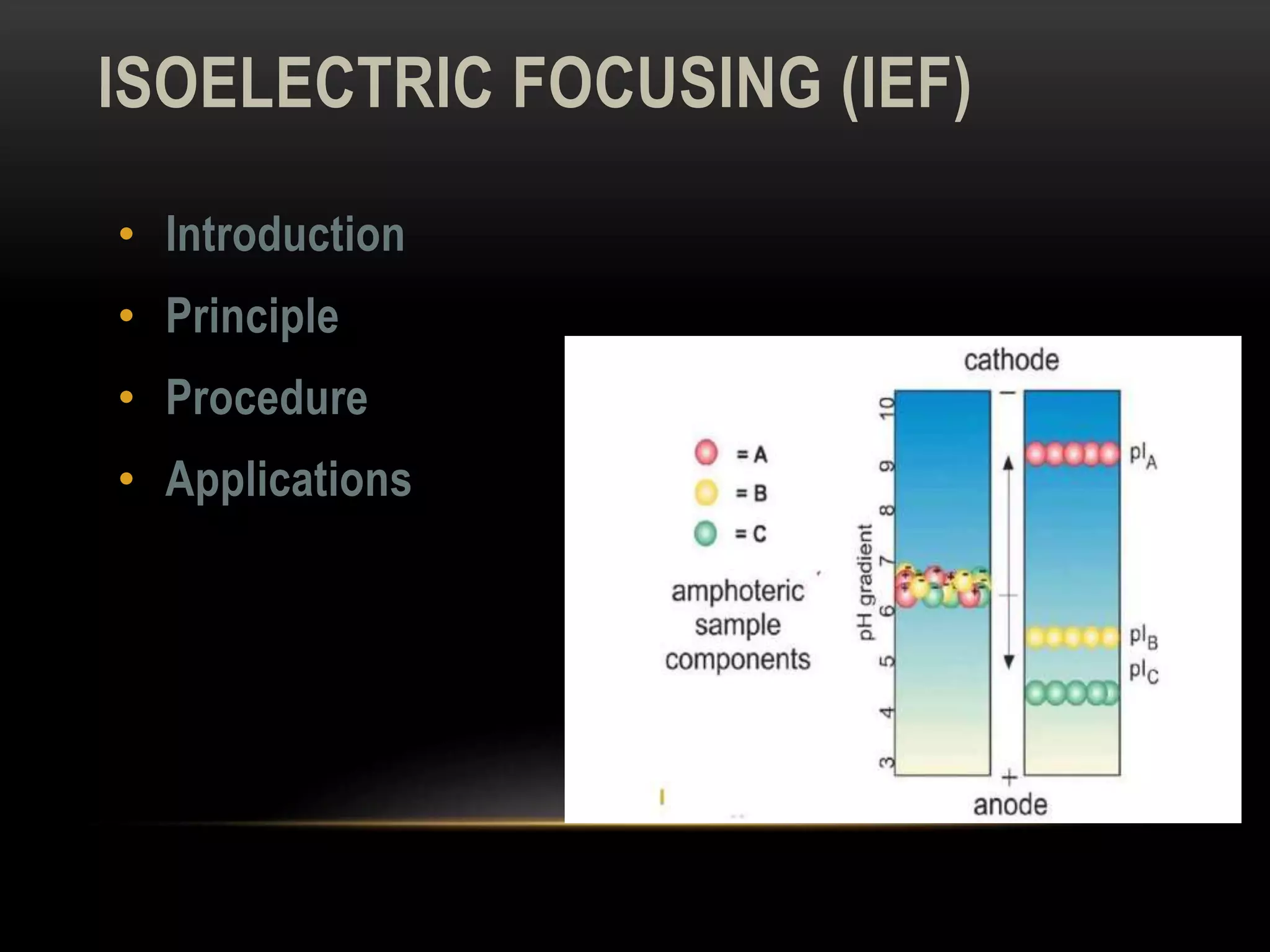 ISOELECTRIC FOCUSING PPT.pptx