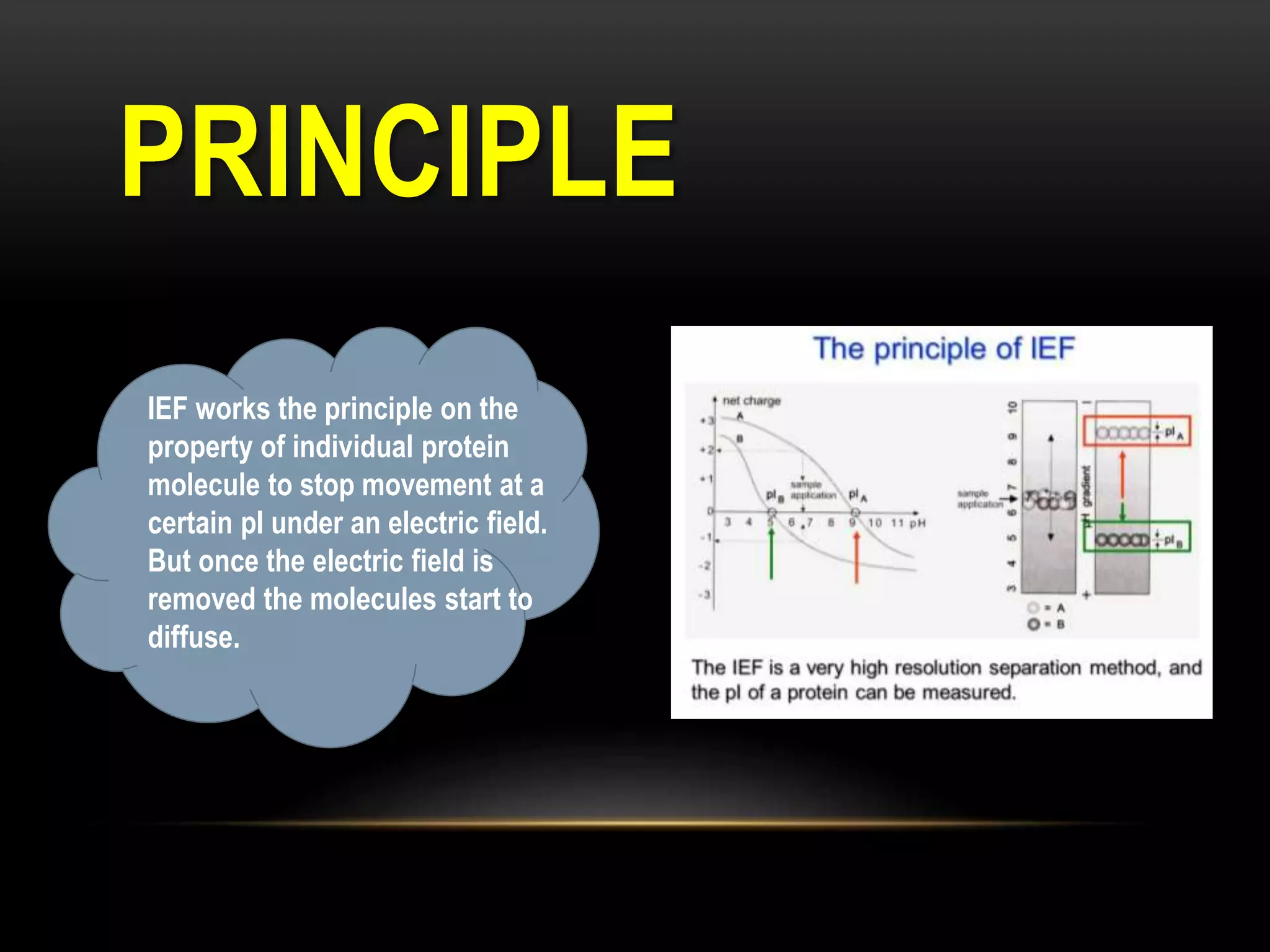 ISOELECTRIC FOCUSING PPT.pptx