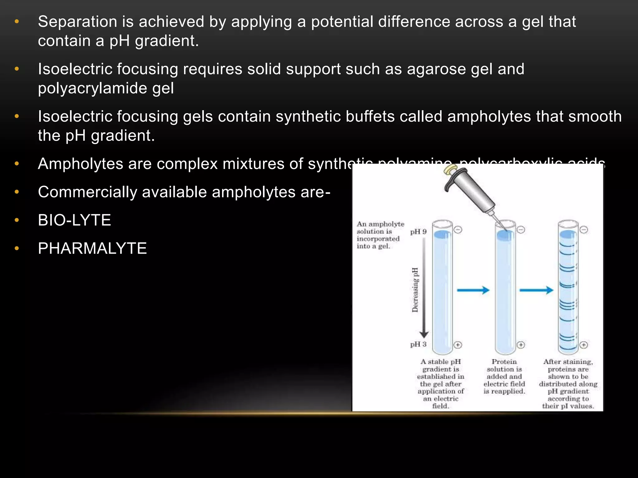 ISOELECTRIC FOCUSING PPT.pptx