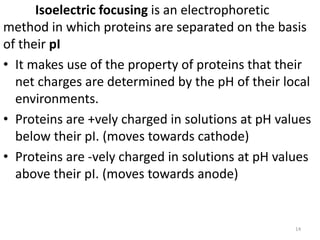 Iso electric focusing(ranjith) | PPTX
