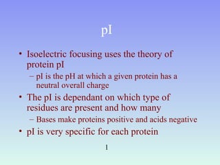 Isoelectric point in gel electrophoresis | PPT