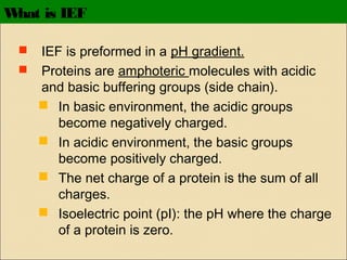 Iso electro foucing nitu | PPT