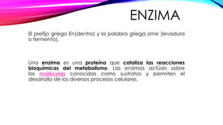 Isoenzimas | PDF