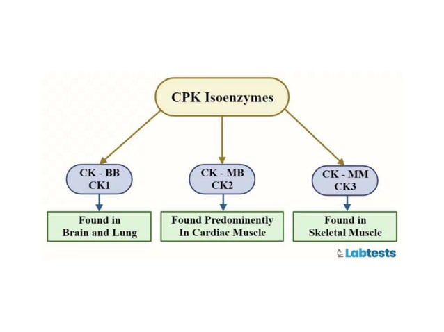 Isoenzyme.pptx | Chemistry | Science