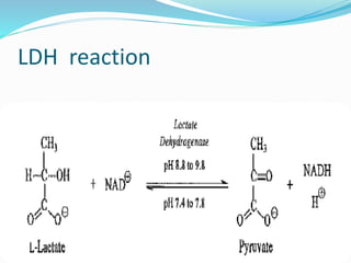 ISOENZYMES OF LDH & CK | PPTX
