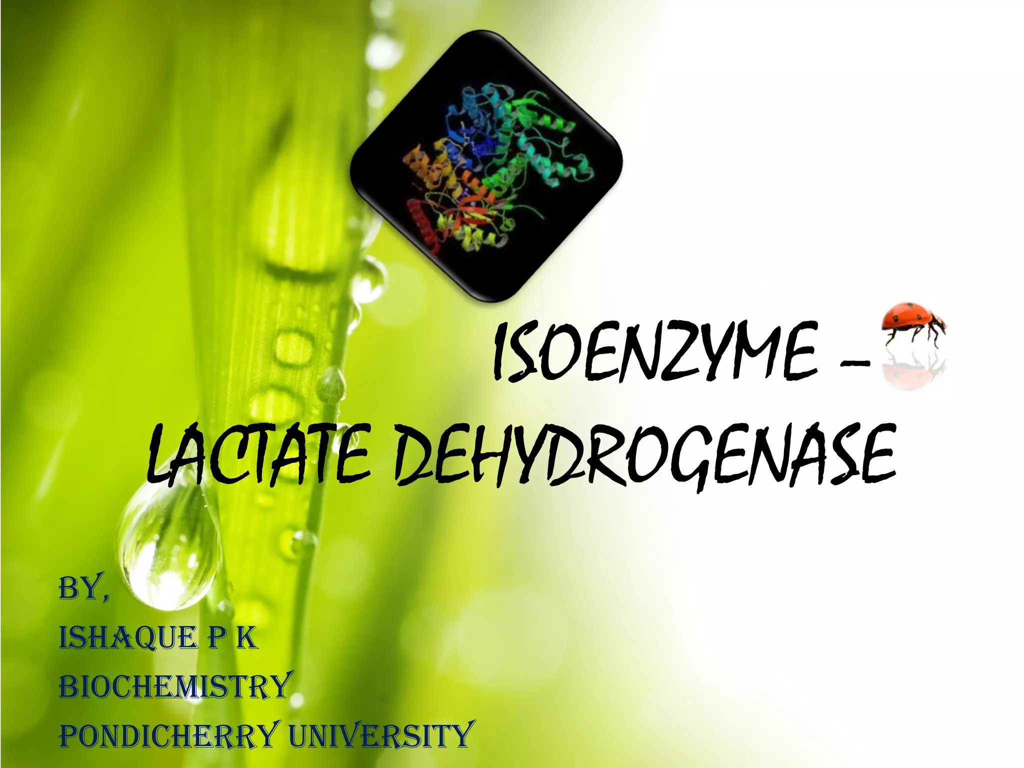 LDH Isoenzymes | PPT
