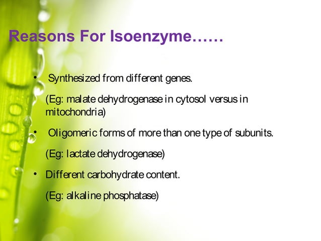 LDH Isoenzymes | PPT | Chemistry | Science