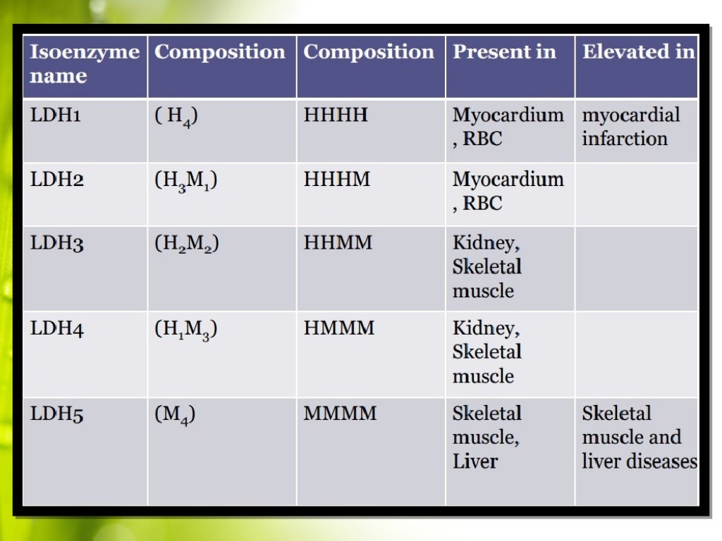 LDH Isoenzymes