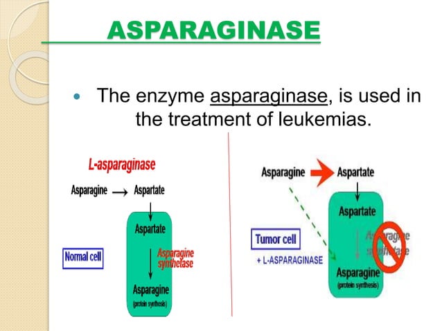 Isoenzymes | PPTX | Chemistry | Science