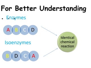 Isoenzymes | PPTX | Chemistry | Science