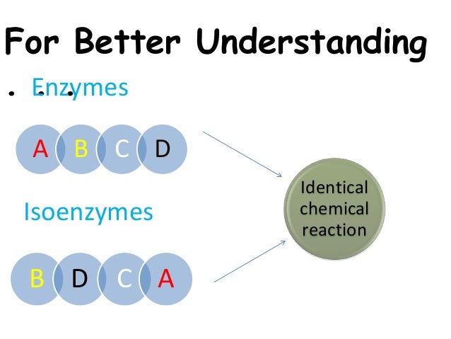 Isoenzymes