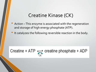 Biochem Isoenzymes.ppt