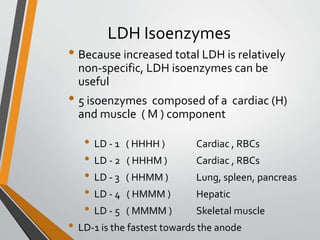 Biochem Isoenzymes.ppt