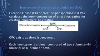 ISOENZYMES.pptx