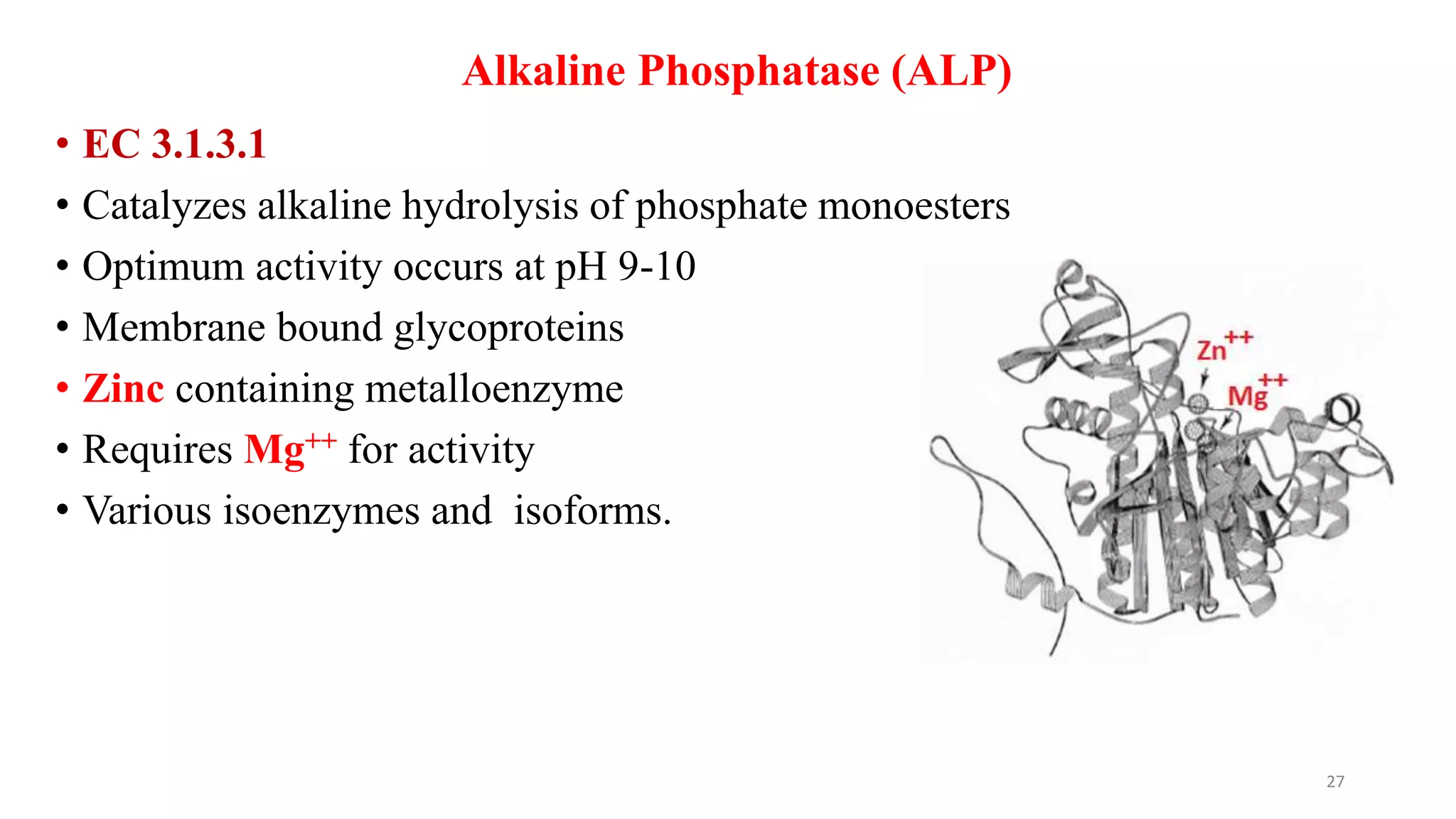 Isoenzymes - Diagnostic Methods & Importance.pptx