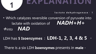 isoenzymes powerpoint biochemistry for knowledge.pptx
