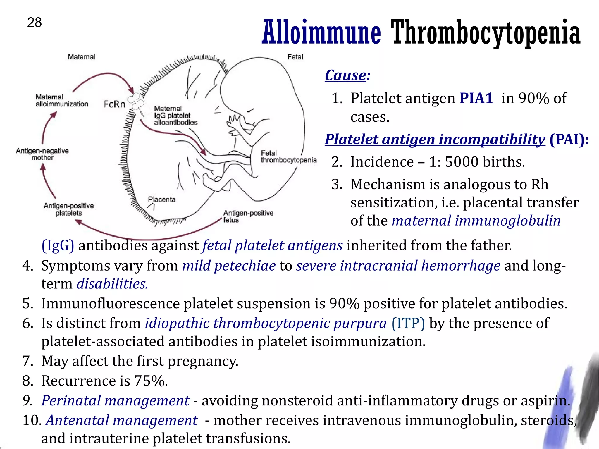 Alloimmunization of Pregnancy (by Naira Matevosyan) | PDF