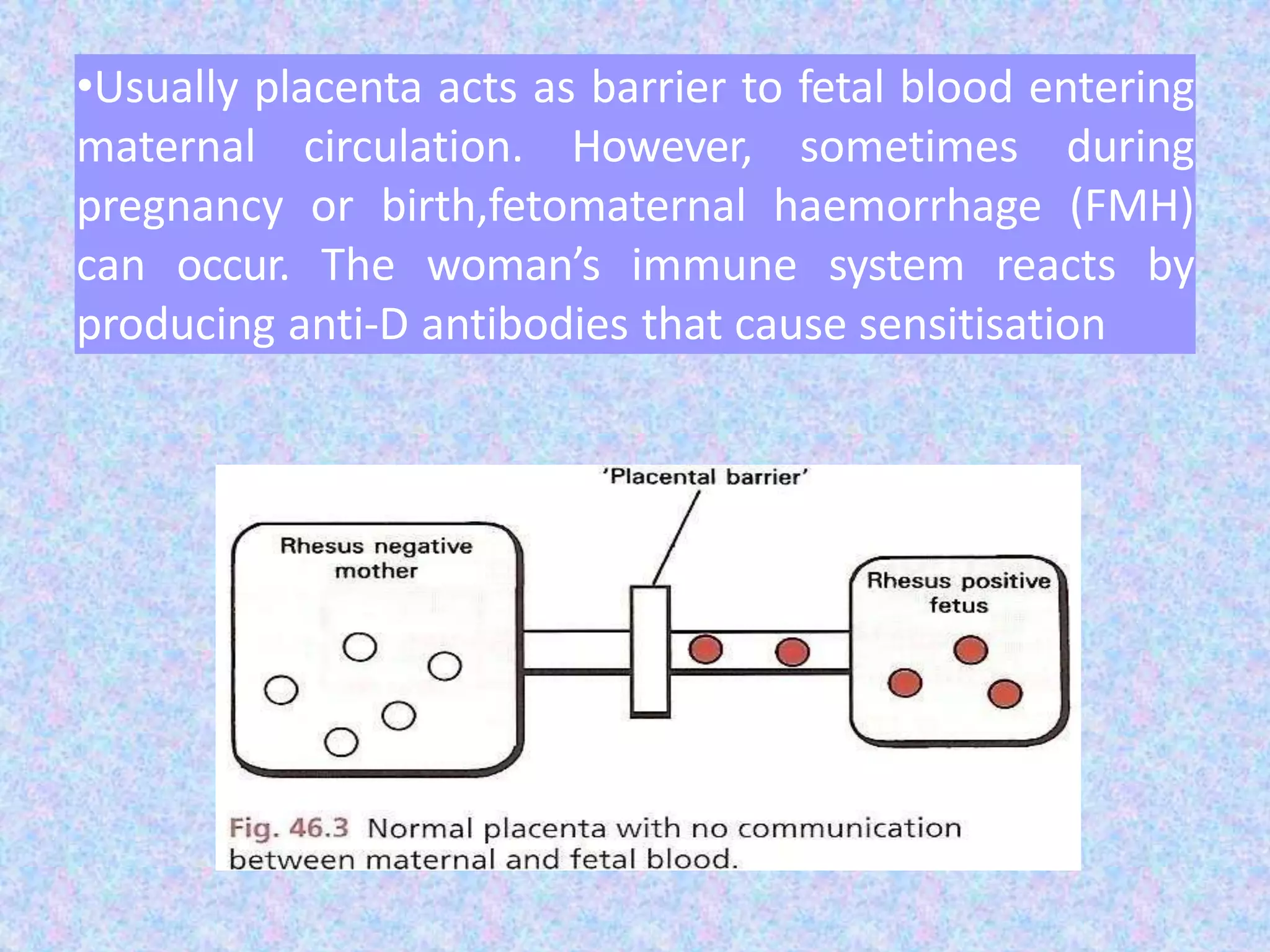 ISO IMMUNE DISEASE.pptx