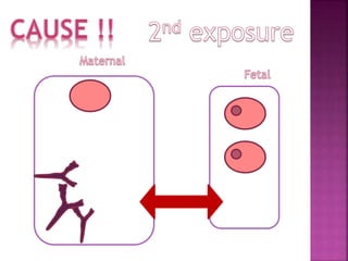 Hemolytic Disease of the newborn ( RH Isoimmunization ) | PPTX