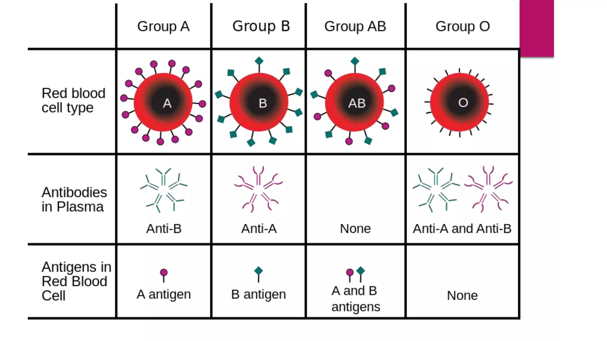 Isoimmunization | PPTX