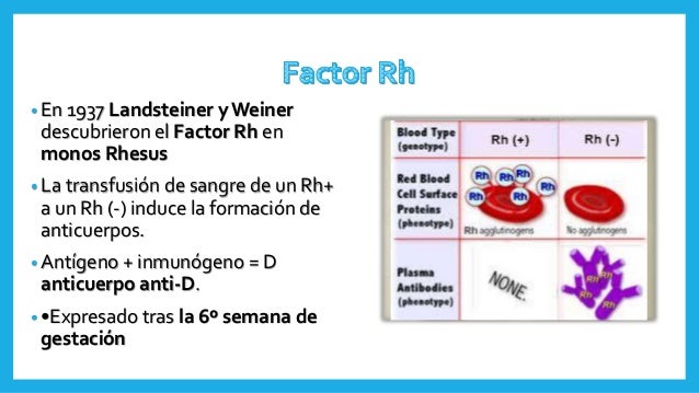 Isoinmunización a factor Rh