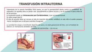isoinmunizacion-materno-fetal-autoguardado.pptx