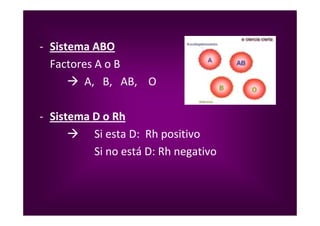 Isoinmunizacion rh | PDF