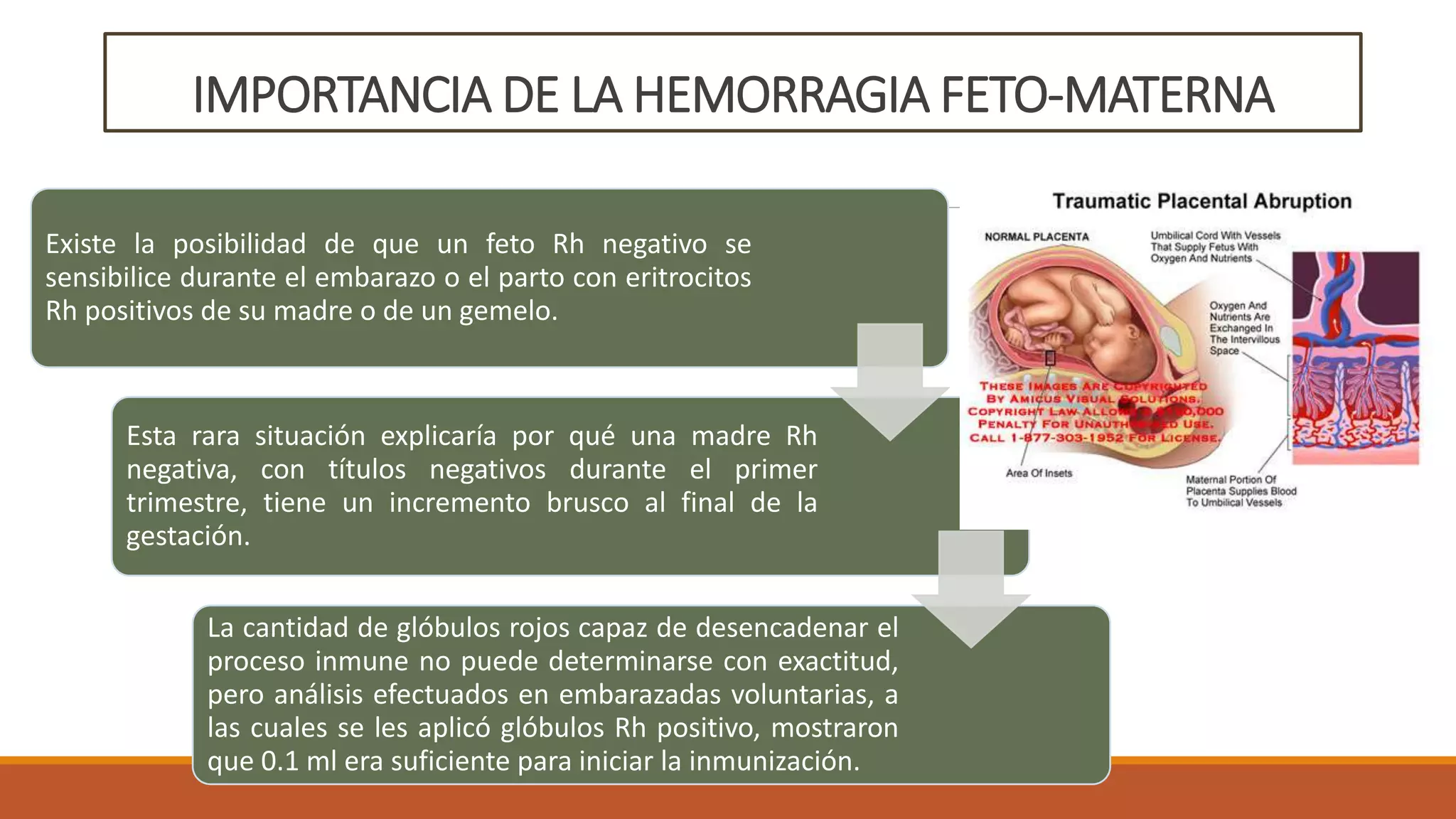 Isoinmunizaicion de factor rh | PPT