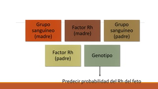 Isoinmunizaicion de factor rh | PPTX