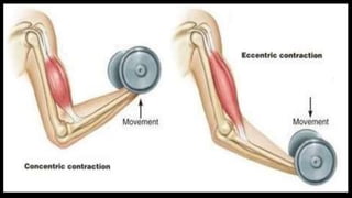 Isokinetic Contraction