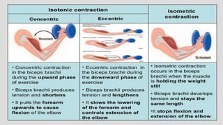 Types Of Isokinetic Exercises