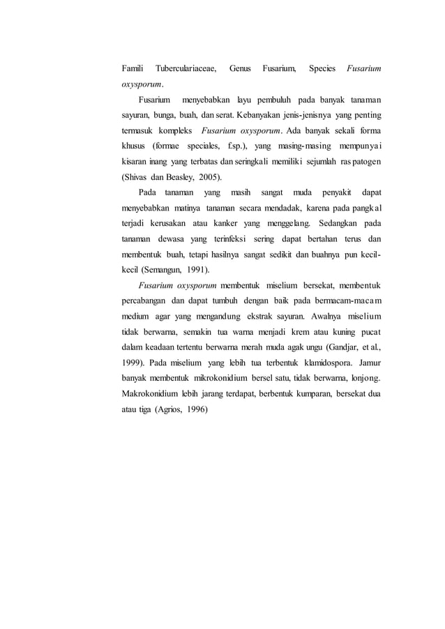 LAPORAN IPT PATOGEN TANAMAN | DOCX