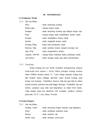LAPORAN IPT PATOGEN TANAMAN | DOCX