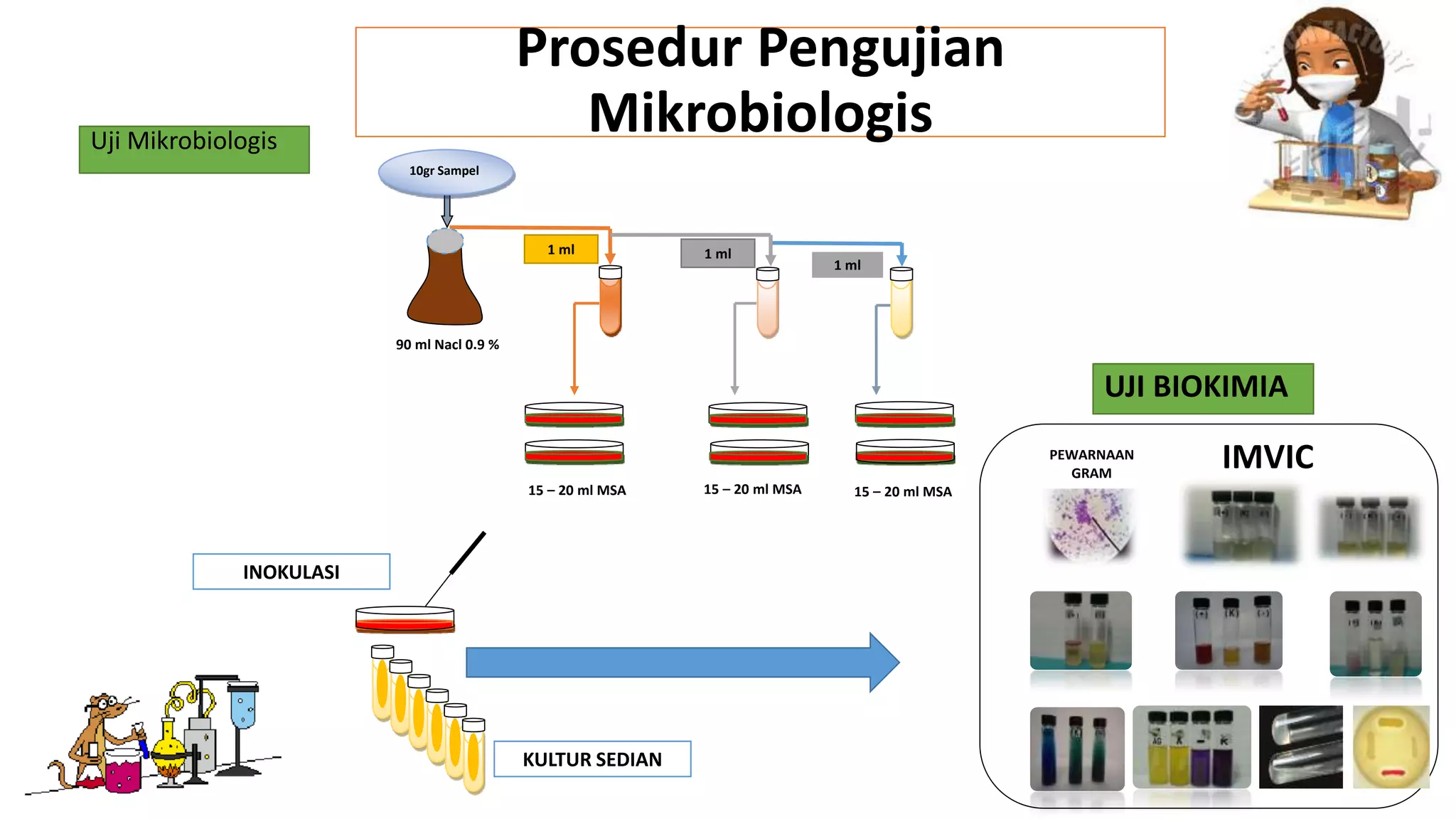 Isolasi dan identifikasi bakteri staphylococcus epidermis pada ikan | PPTX