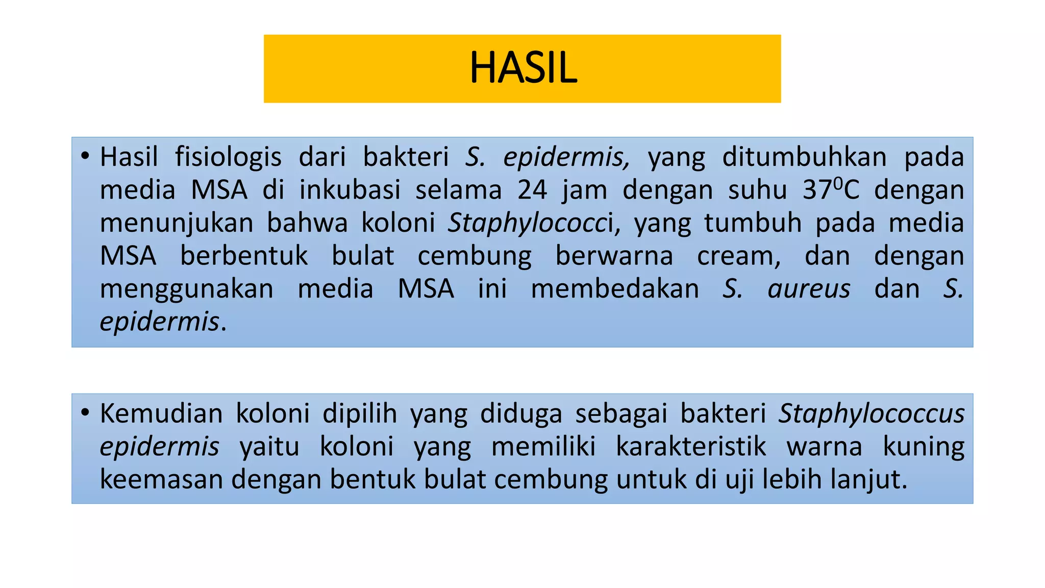 Isolasi dan identifikasi bakteri staphylococcus epidermis pada ikan | PPTX