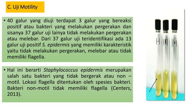 Isolasi dan identifikasi bakteri staphylococcus epidermis pada ikan | PPTX