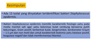 Isolasi dan identifikasi bakteri staphylococcus epidermis pada ikan | PPTX