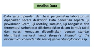 Isolasi dan identifikasi bakteri staphylococcus epidermis pada ikan | PPTX