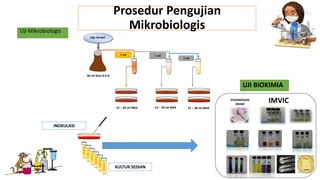 Isolasi dan identifikasi bakteri staphylococcus epidermis pada ikan | PPTX