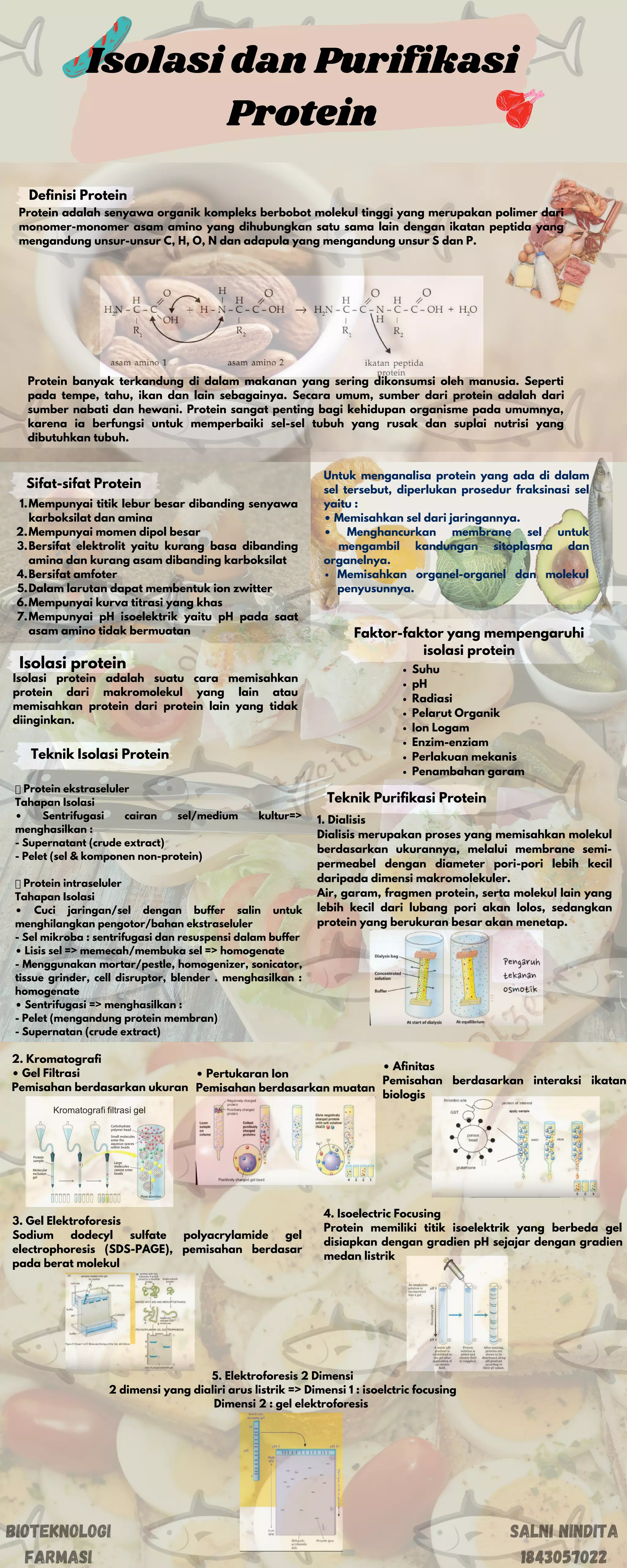 Isolasi dan purifikasi protein | PDF