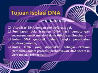 Isolasi dna gyshaa | PPTX