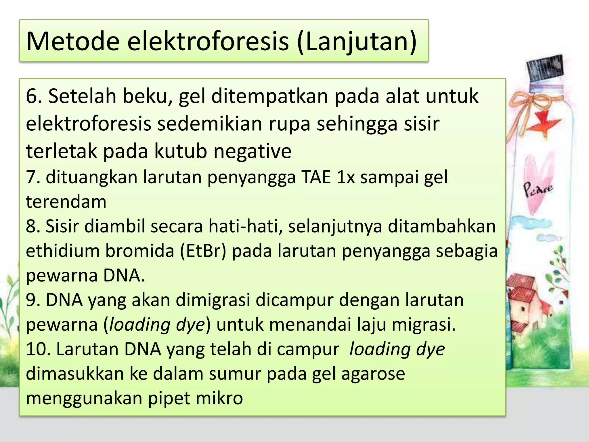 ISOLASI_DNA_PLASMID_By_Amrullah_Mukhtar.pdf